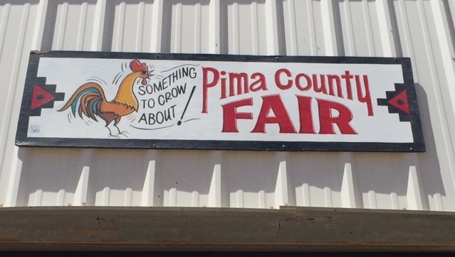 Pima County Fair – Animals – Consider Writing